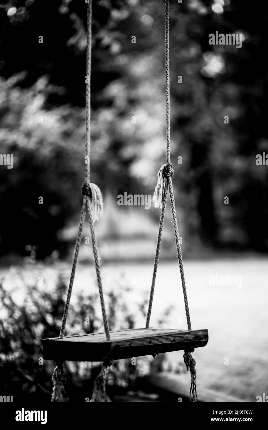 A black and white image of an old wooden swing hanging on ropes in the ...
