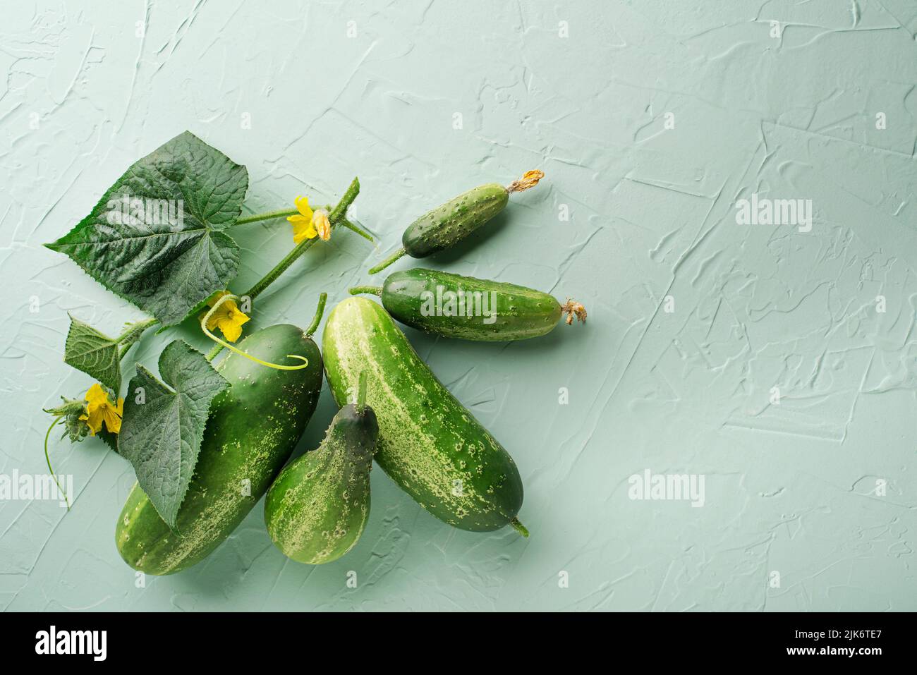 Cucumber on green texture background. Cucumbers harvest in summer ...