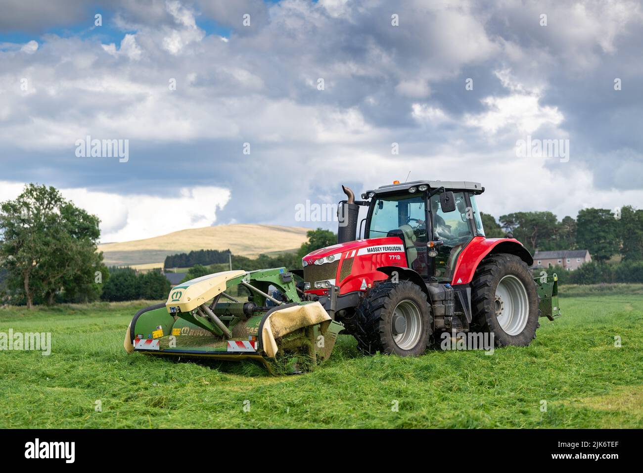 Mowing a meadow for silage with a Massey Ferguson 7718 tractor and a ...