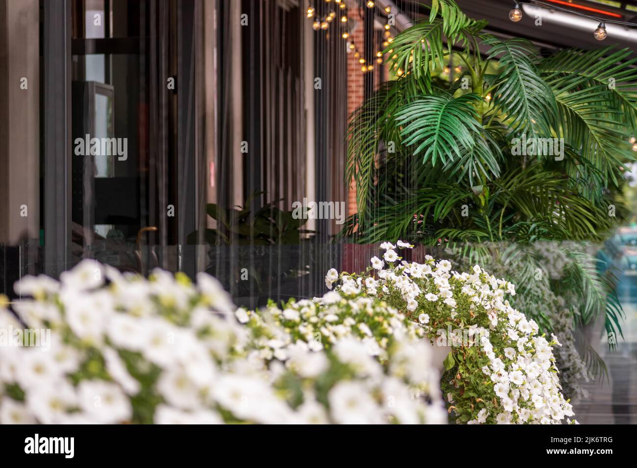 terrace of white green flowers with lamps and glass front background ...