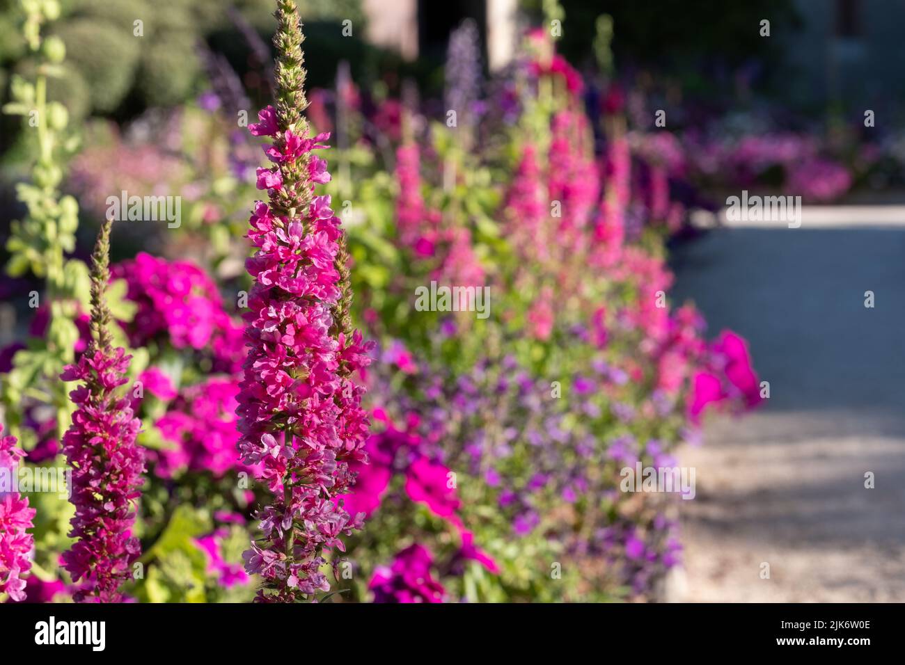 stunning garden at Chateau de Chaumont in the Loire Valley, France ...