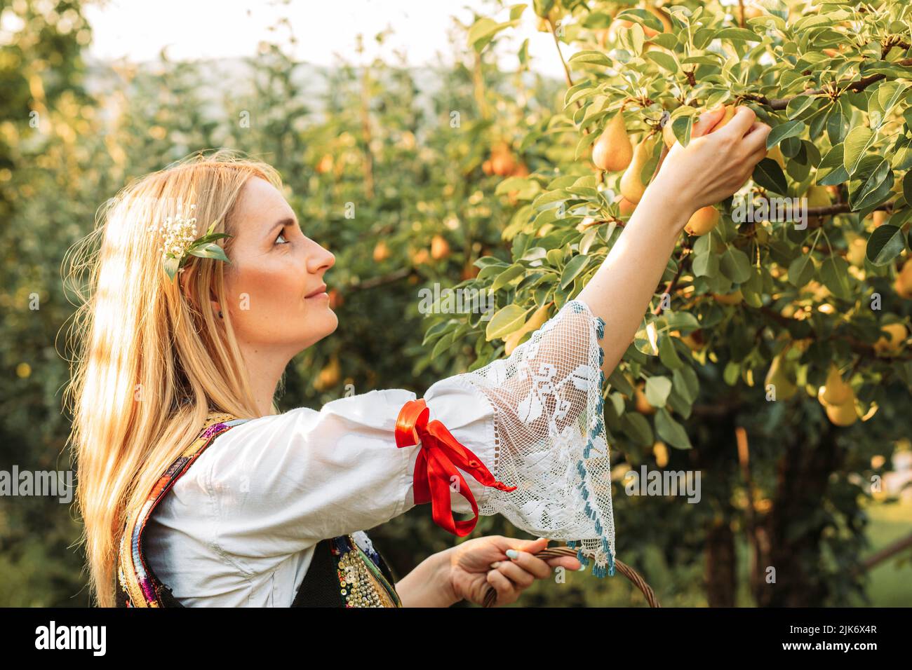 Woman with pears hi-res stock photography and images - Alamy