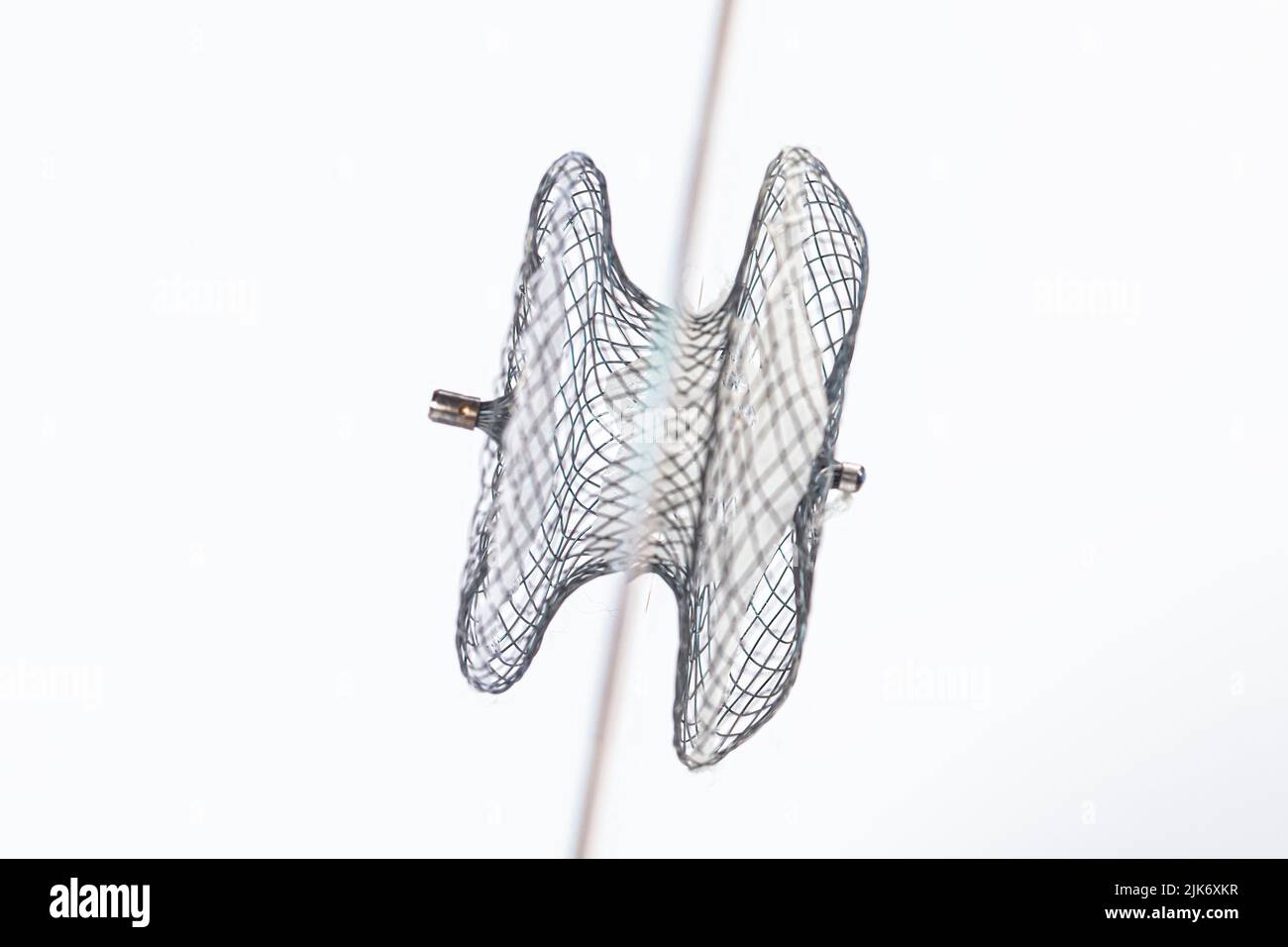 Atrial Septal Defekt. Devices for invasive cardiology procedures ...