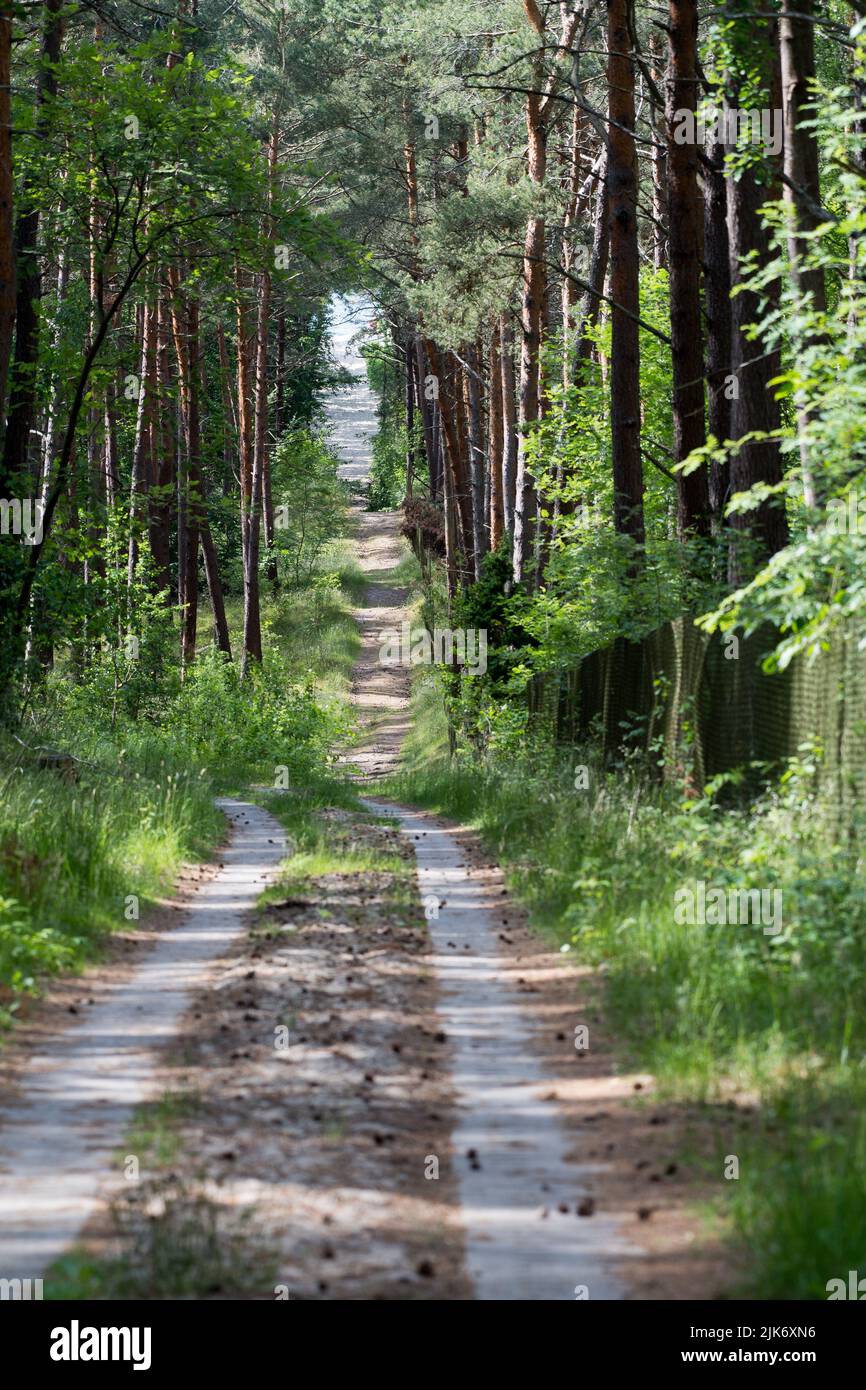 Vistula Spit in Piaski, Poland © Wojciech Strozyk / Alamy Stock Photo ...