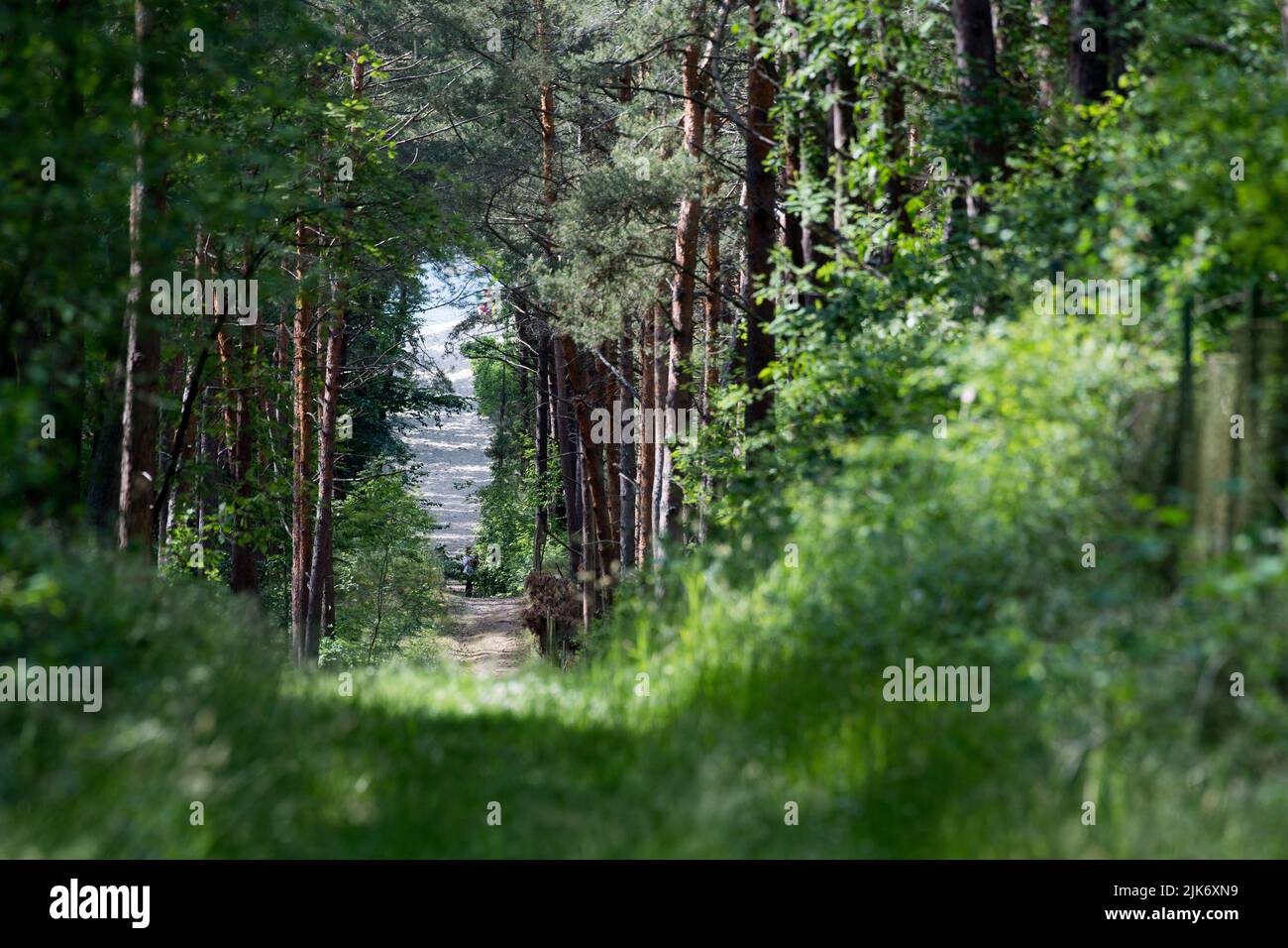 Wojciech nowa hi-res stock photography and images - Alamy