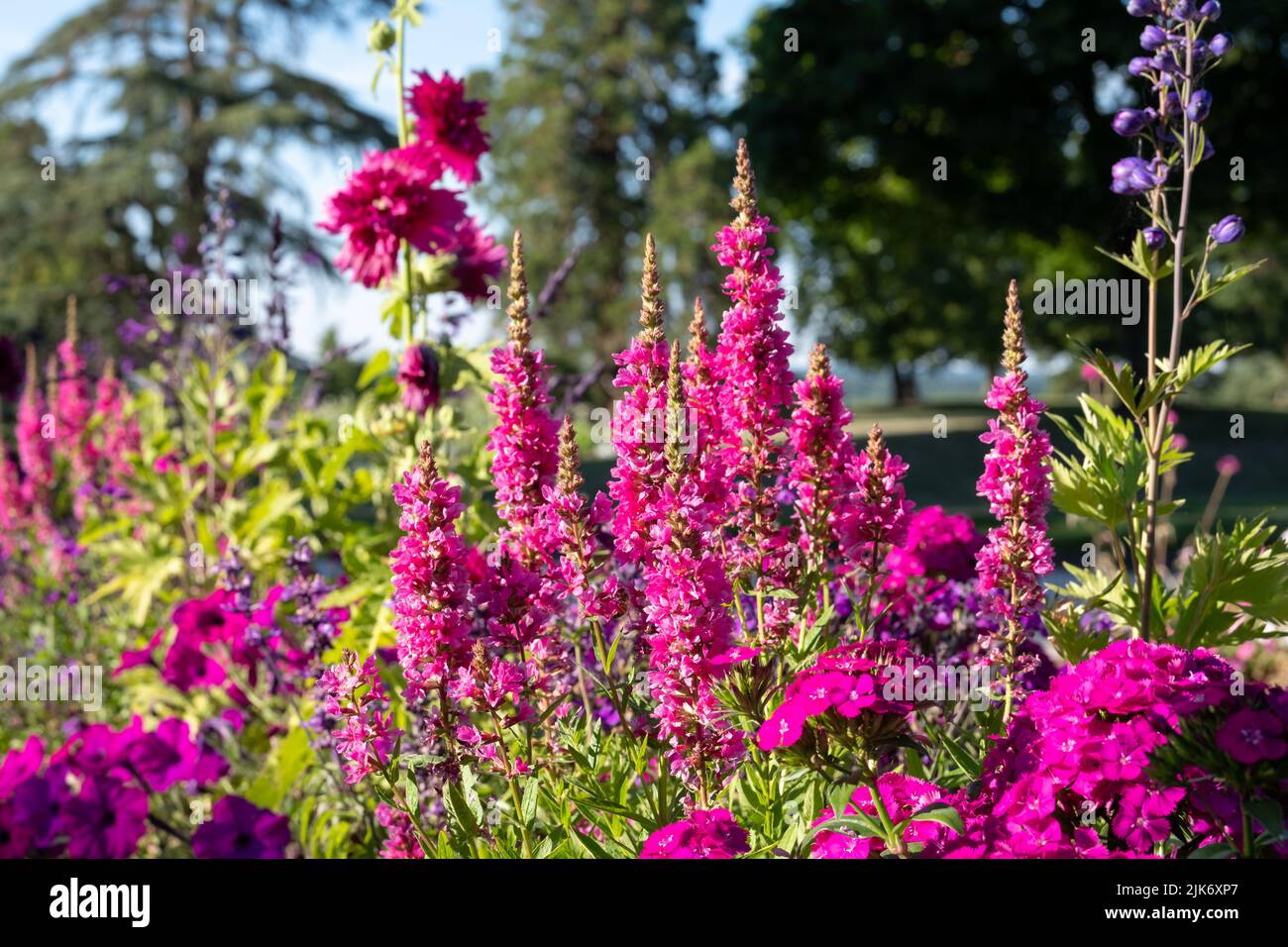 stunning garden at Chateau de Chaumont in the Loire Valley, France ...