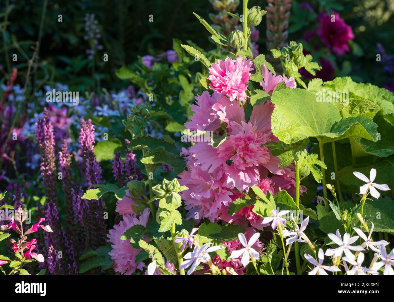 stunning garden at Chateau de Chaumont in the Loire Valley, France ...