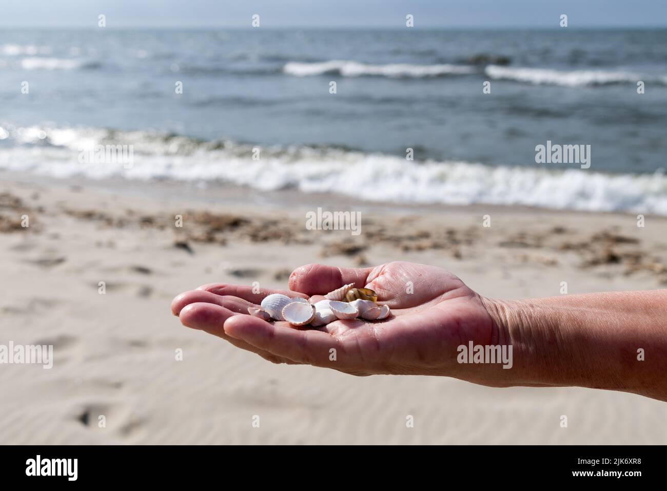 Vistula Spit in Piaski, Poland © Wojciech Strozyk / Alamy Stock Photo ...