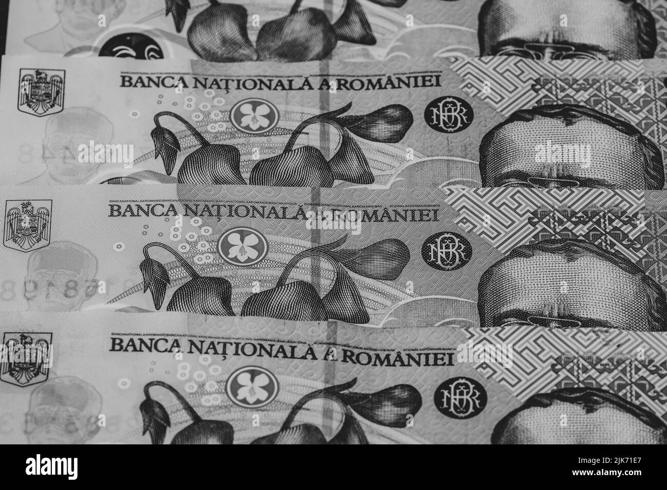 LEI currency banknotes. LEI Romanian money. RON Leu Money European ...