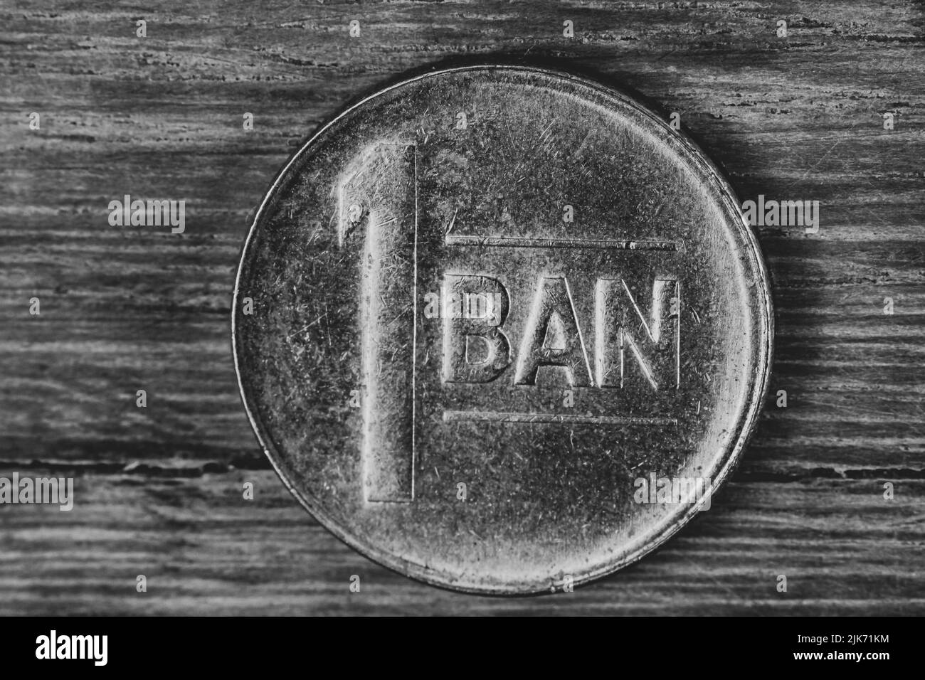 LEI currency banknotes. LEI Romanian money. RON Leu Money European ...