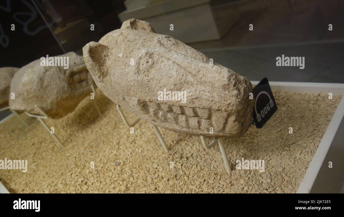 Stone Feline of Gobekli Tepe. Sanliurfa Archaeological Museum, Turkey ...