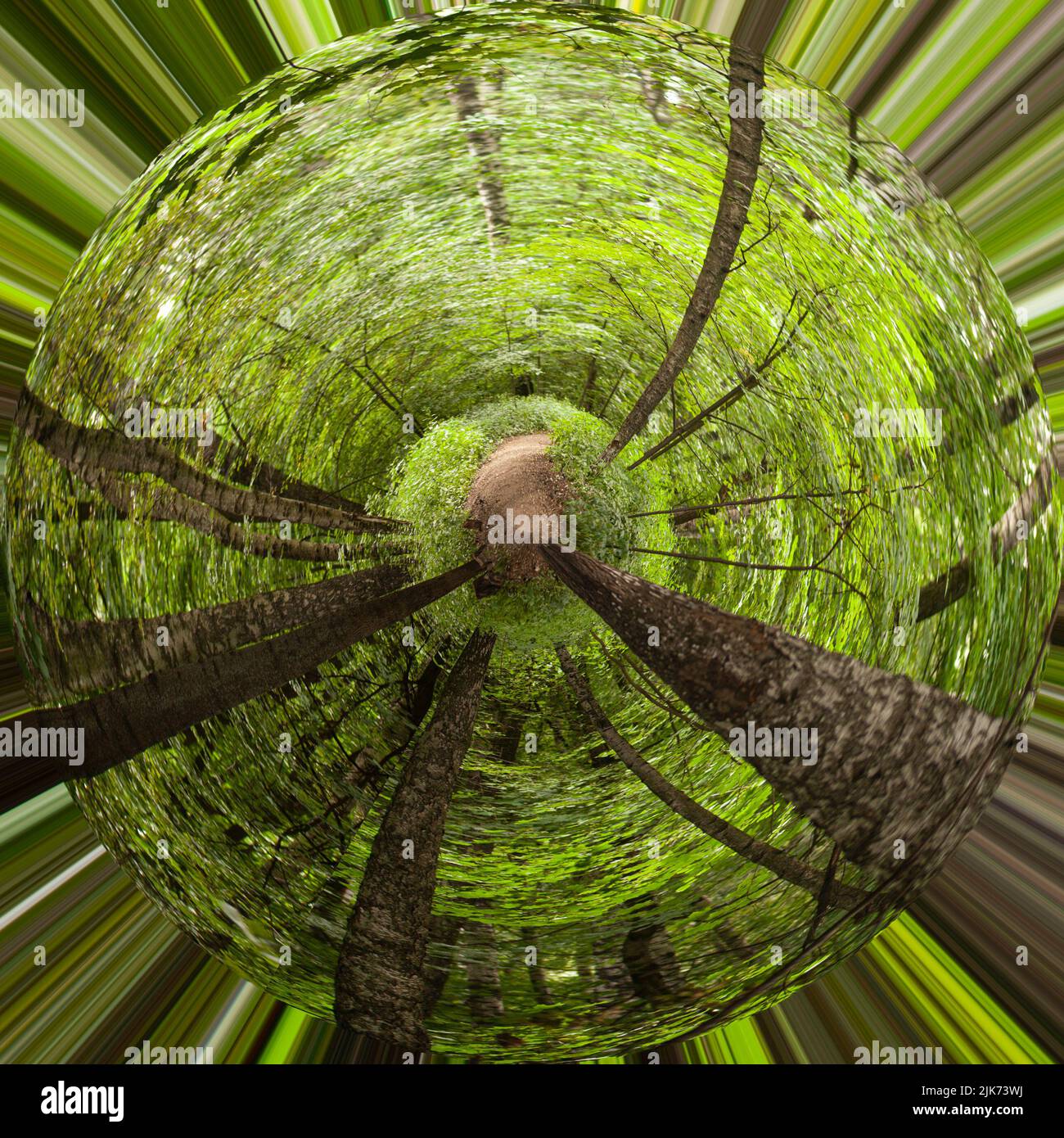 Aerial summer city view with Scenic Forest of Fresh Green Trees ...