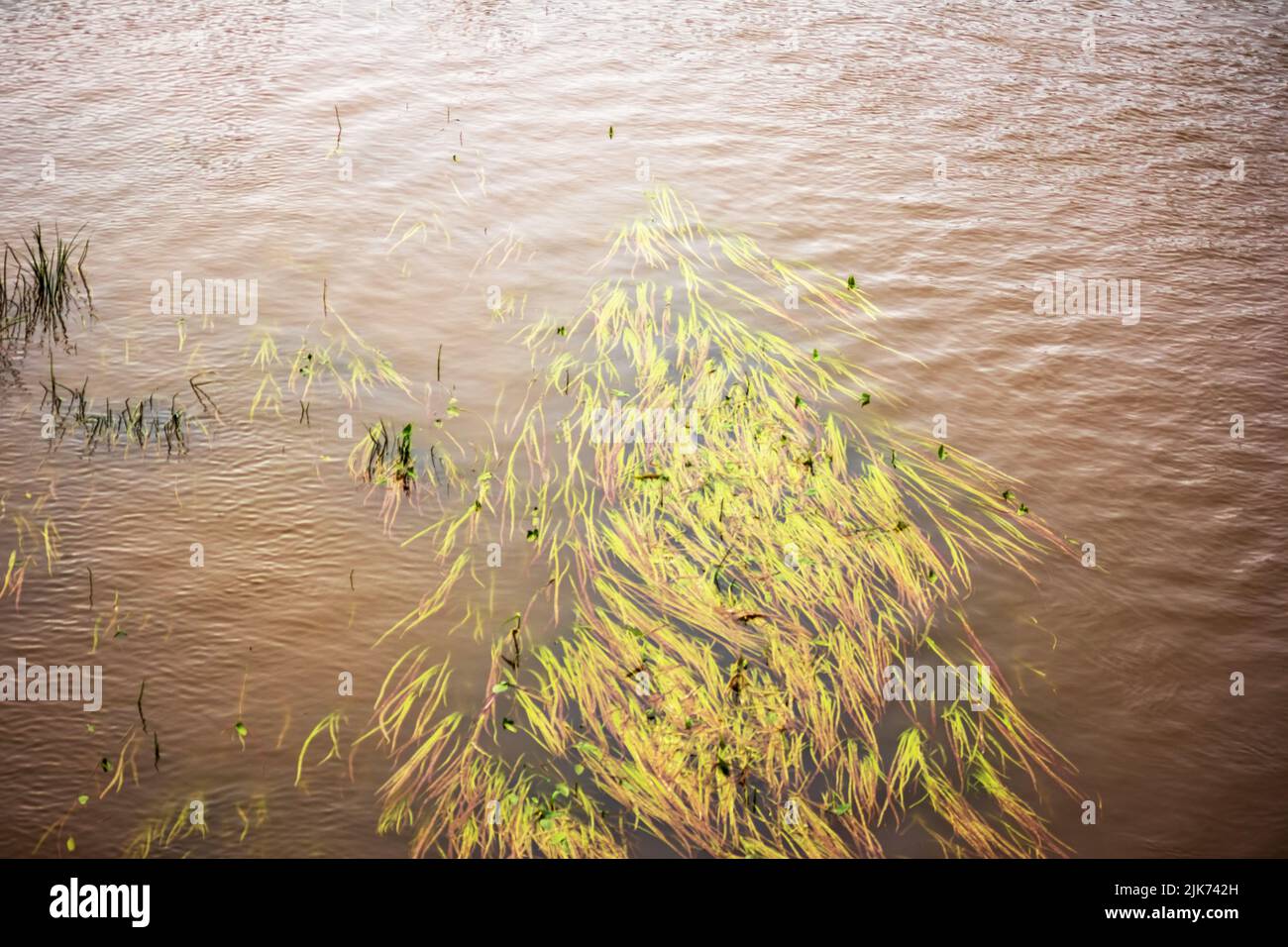 Washington state water agriculture hi-res stock photography and images ...
