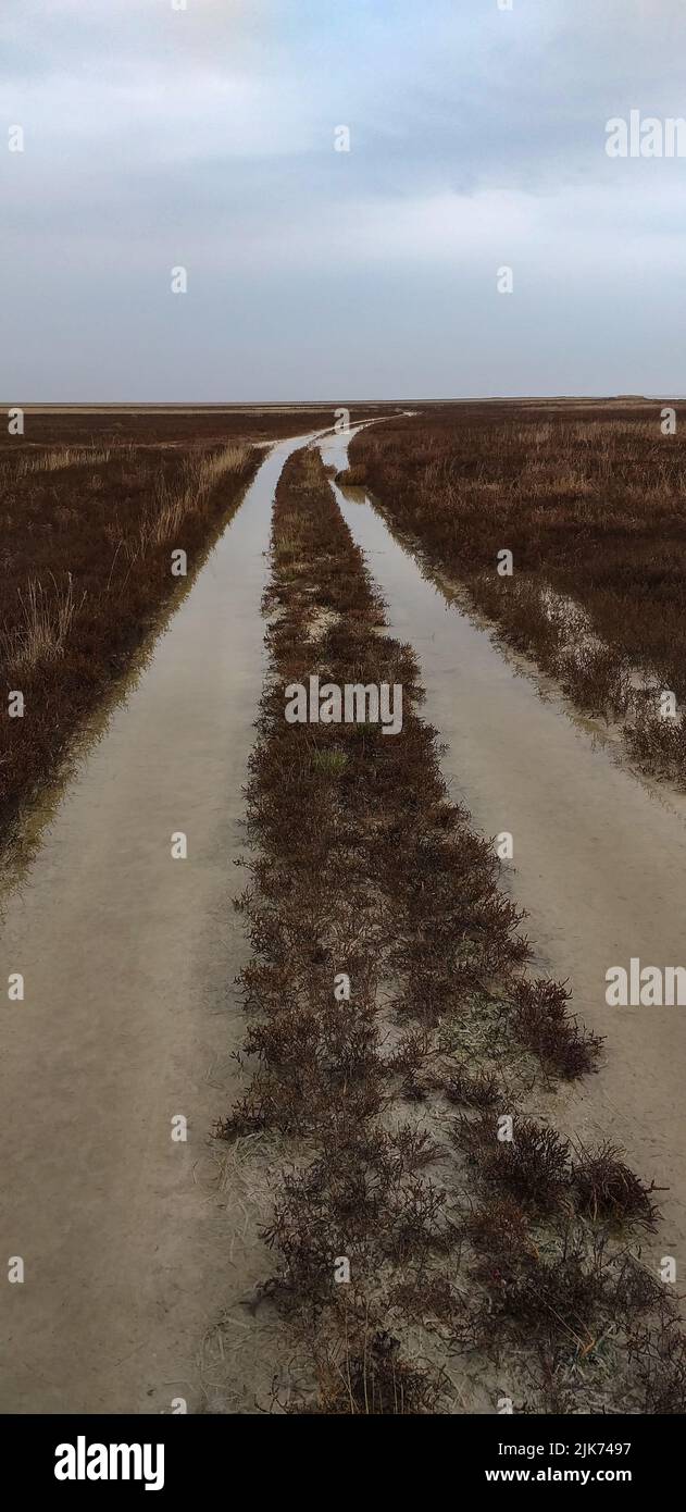 Flooded muddy rural path hi-res stock photography and images - Alamy