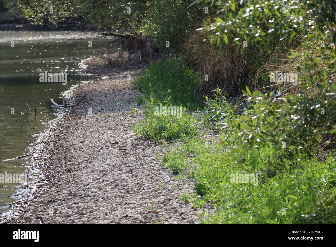 natural Beach of a Bathing lake Stock Photo - Alamy