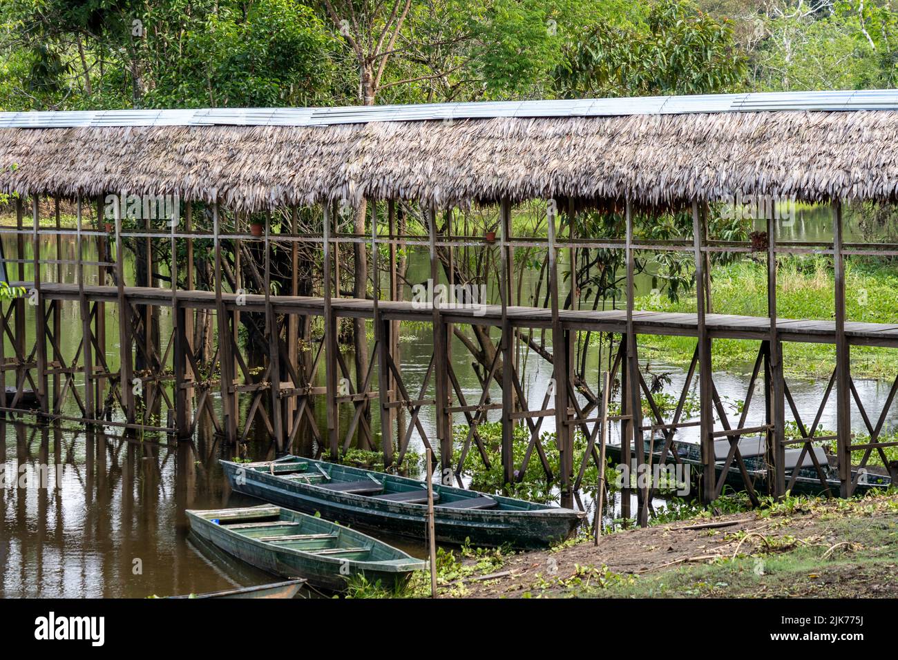 Curassow amazon lodge hi-res stock photography and images - Alamy