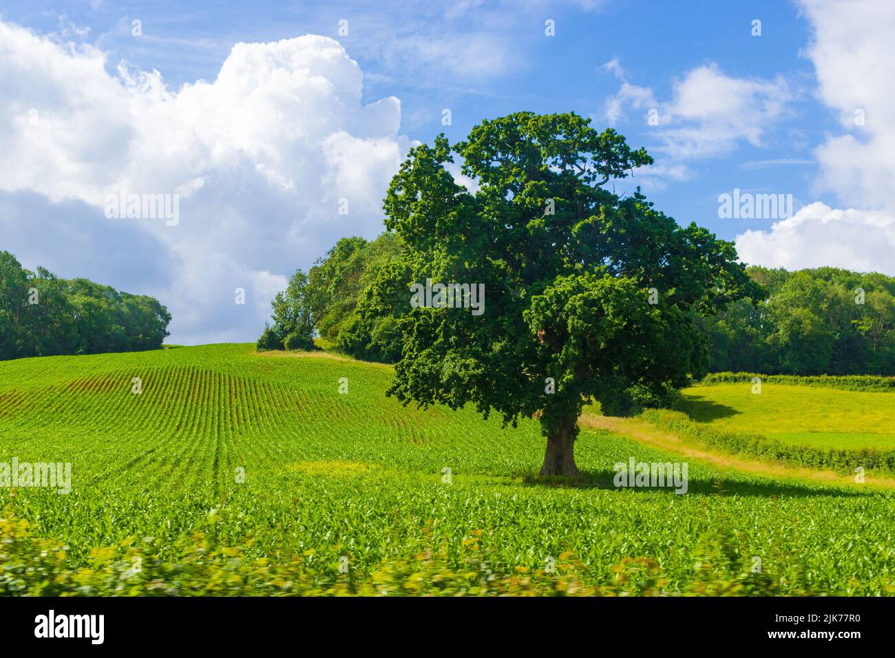 Summer view from the affluent Chew Valley in Somerset near Chelwood village seen from A368 road ...