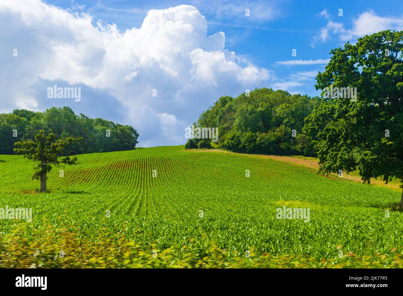 Summer view from the affluent Chew Valley in Somerset near Chelwood village seen from A368 road ...