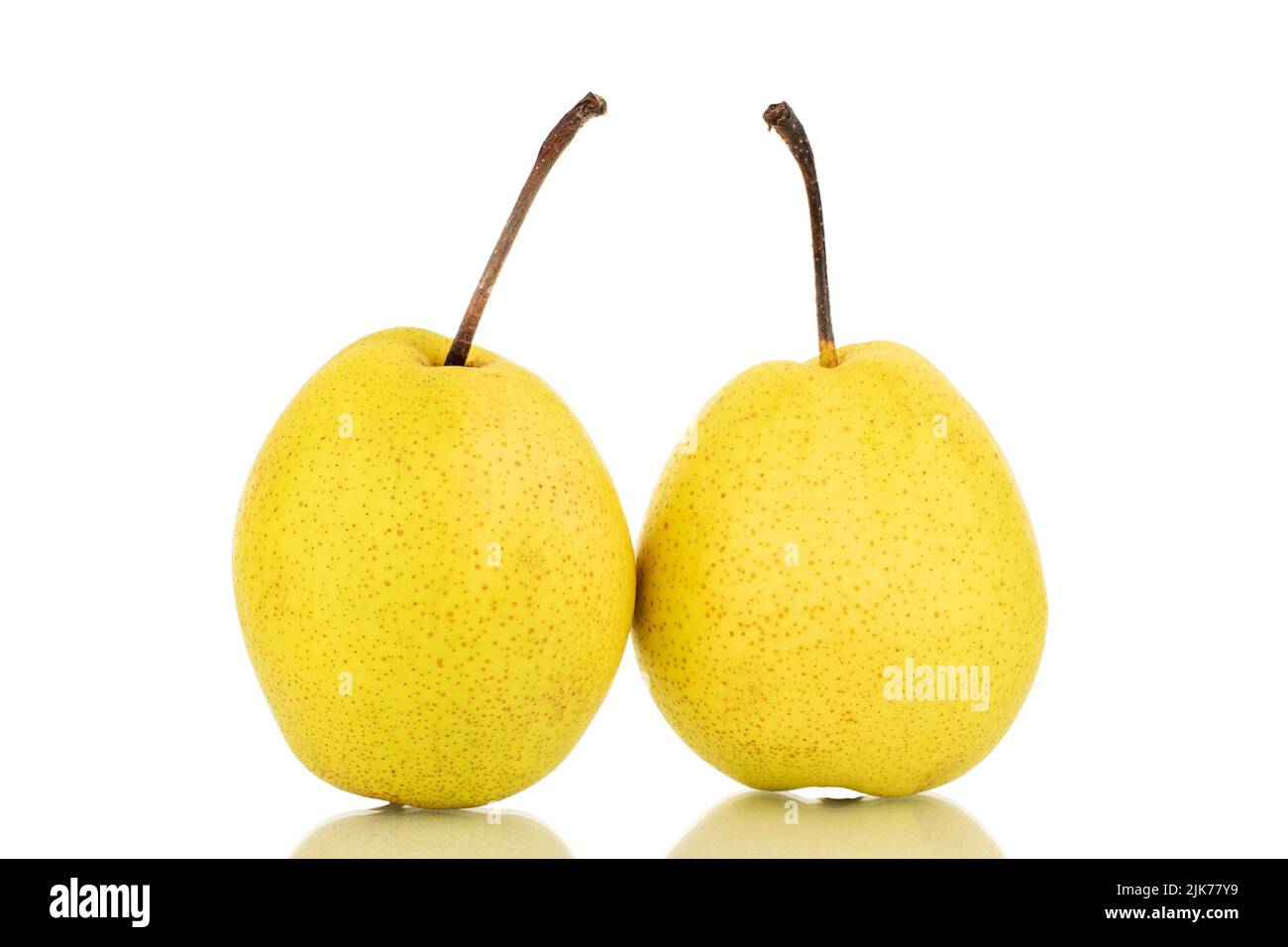 Two organic bright yellow pears, close-up, isolated on a white ...