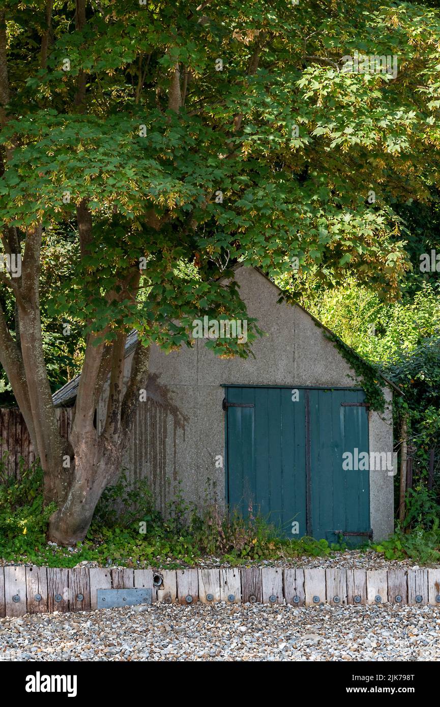 beach hut under trees on the beach, boathouse with blue wooden doors ...