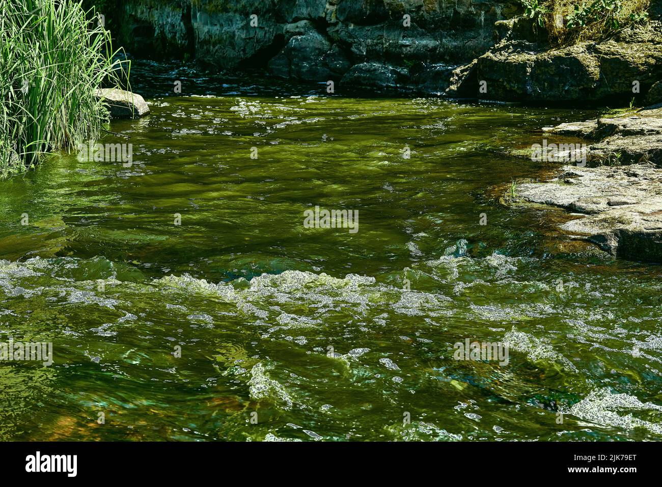Pure powerful green flow of water of a mountain river on a sunny warm ...