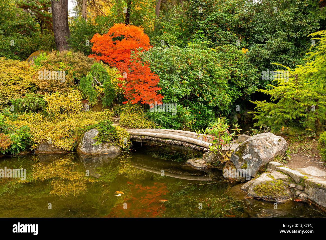 WA21837-00...WASHINGTON - Historic Japanese style garden , Seattle's ...