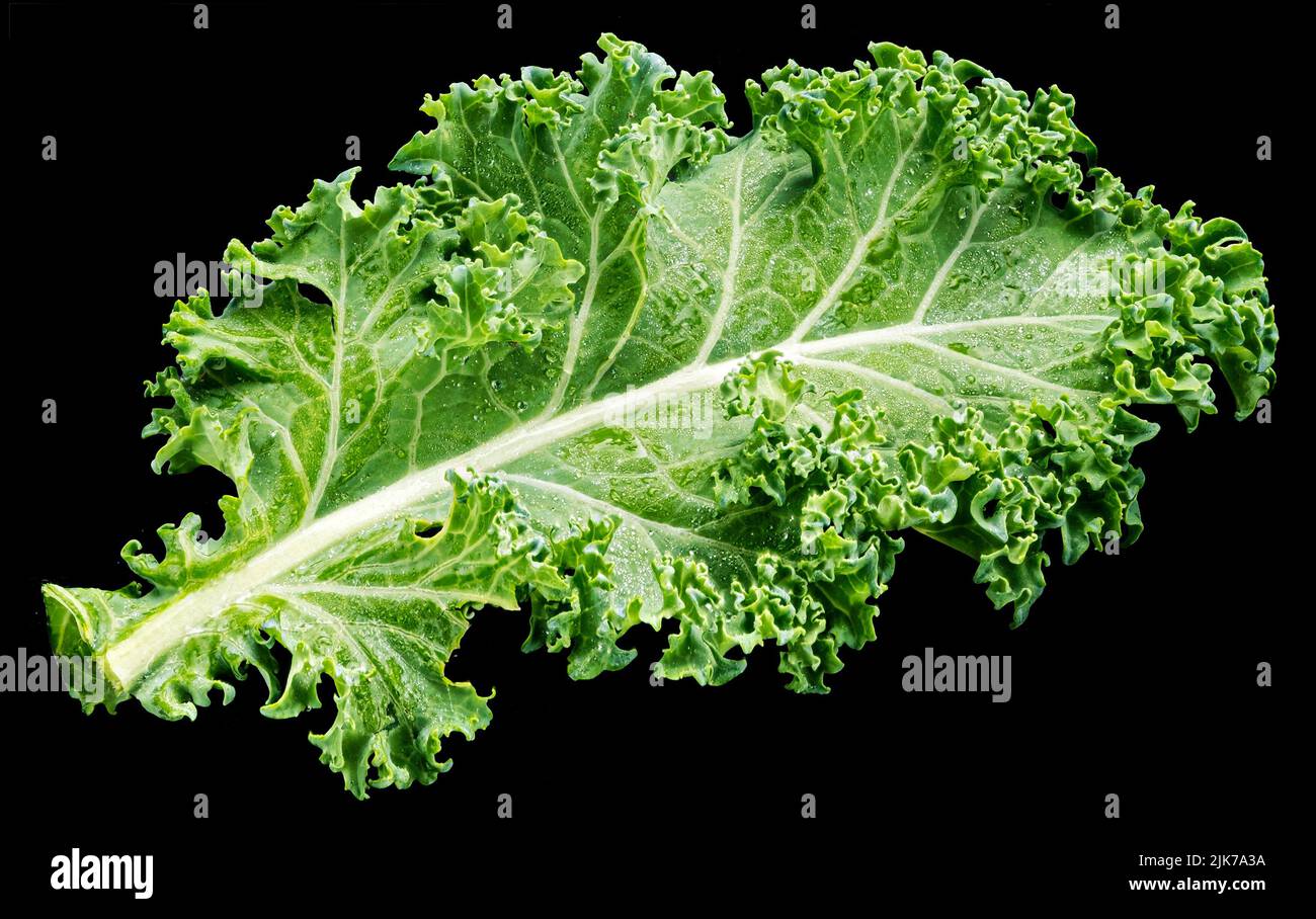Kale salad leaf isolated on black background, top view Stock Photo - Alamy