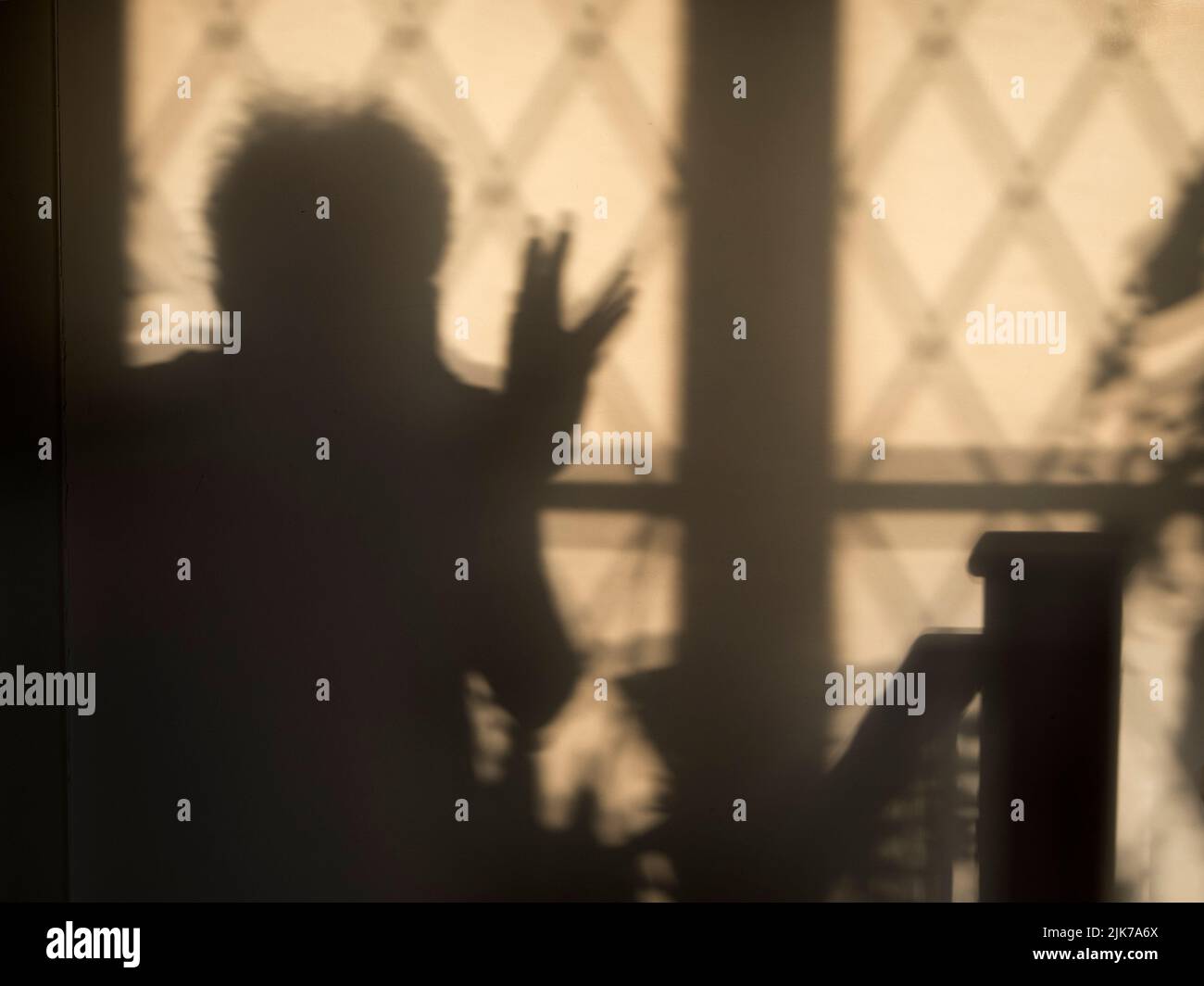 You can see abstract pattern and beauty just about anywhere, providing ...