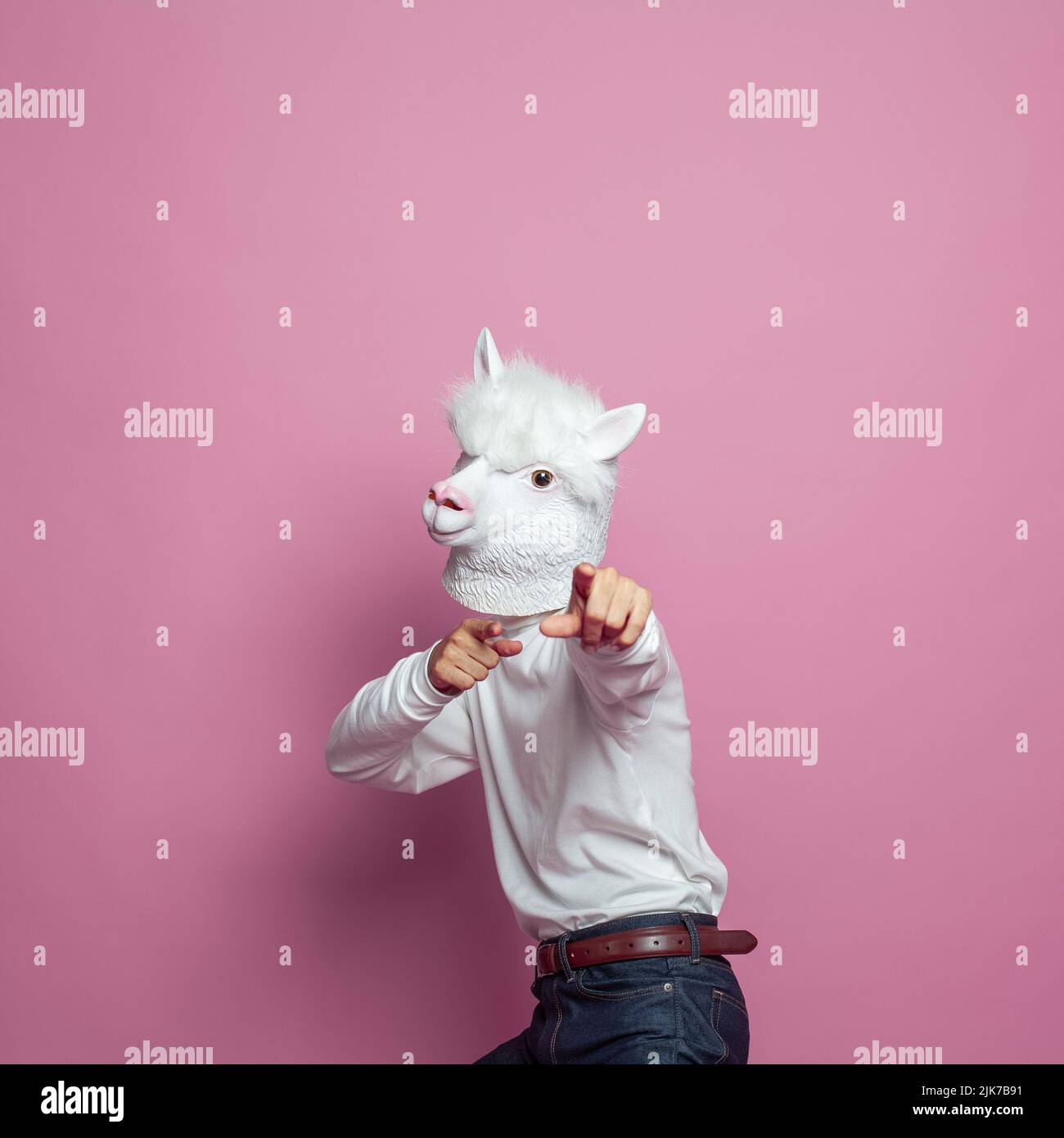 Creative lama person pointing finger on bright pink studio wall ...