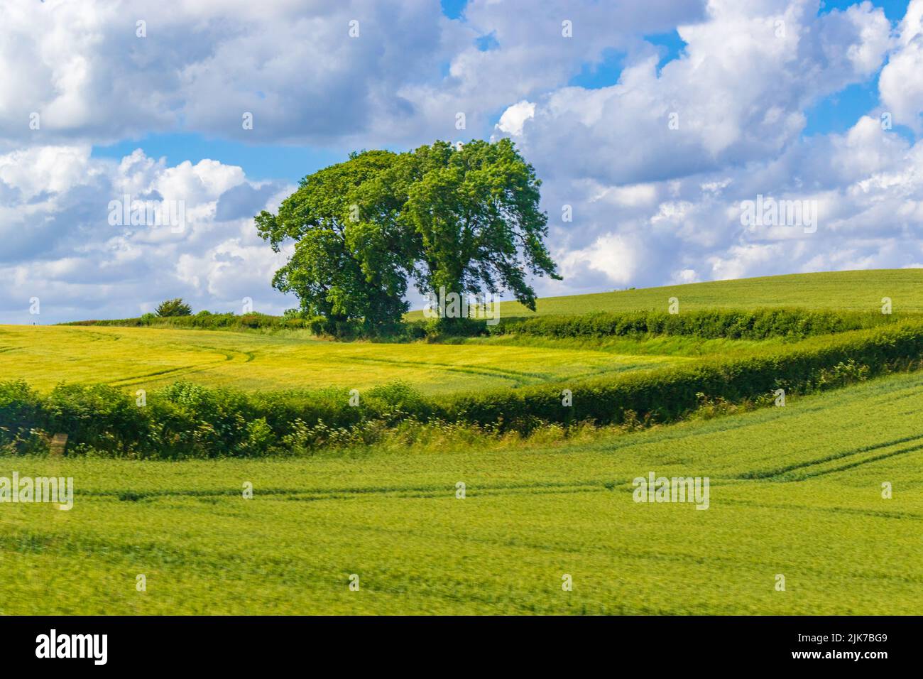 Summer view of the slopes of the Mendip Hills, within the affluent Chew ...