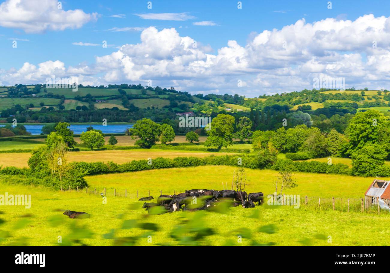 Farmlands near Ubley-a small village and civil parish within the Chew ...