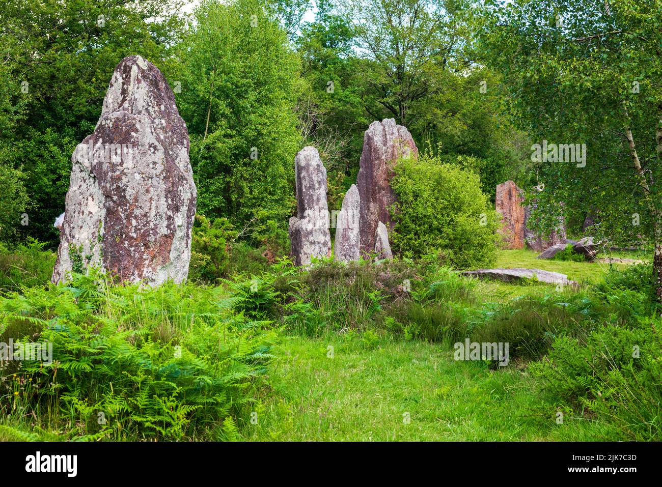 Druid ceremony france hi-res stock photography and images - Alamy