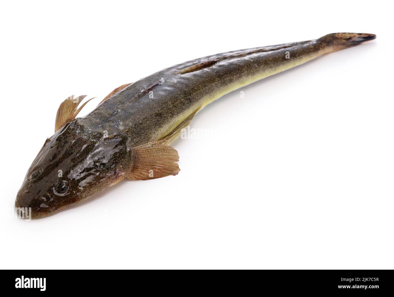 Magochi hi-res stock photography and images - Alamy