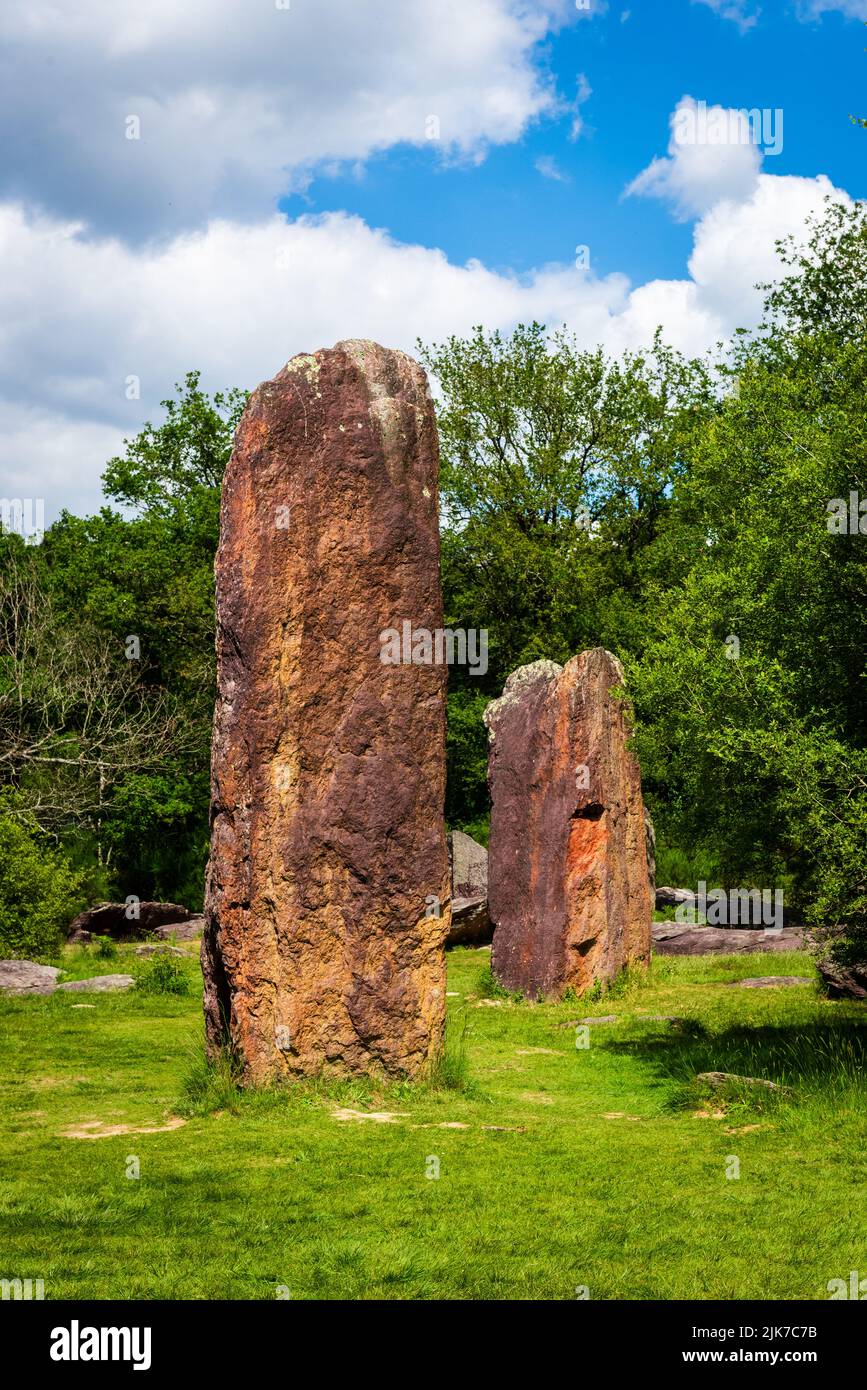 Tallest menhir in the forest near Monteneuf, Morbihan, France Stock ...