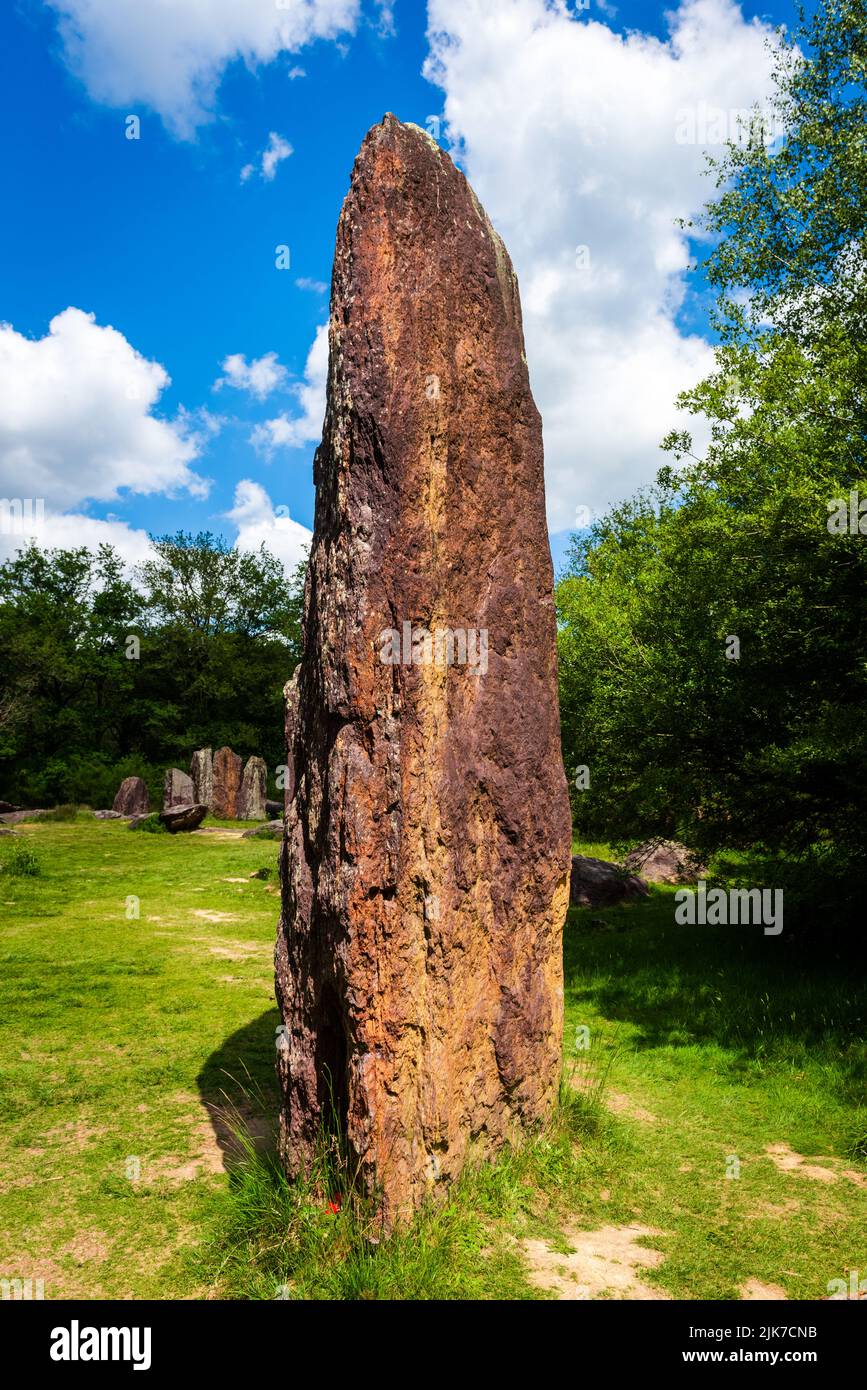 Standing stone in the menhir field of Monteneuf Stock Photo - Alamy