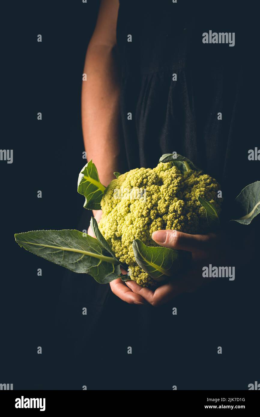 Head of green color cauliflower in women hand on dark background and ...