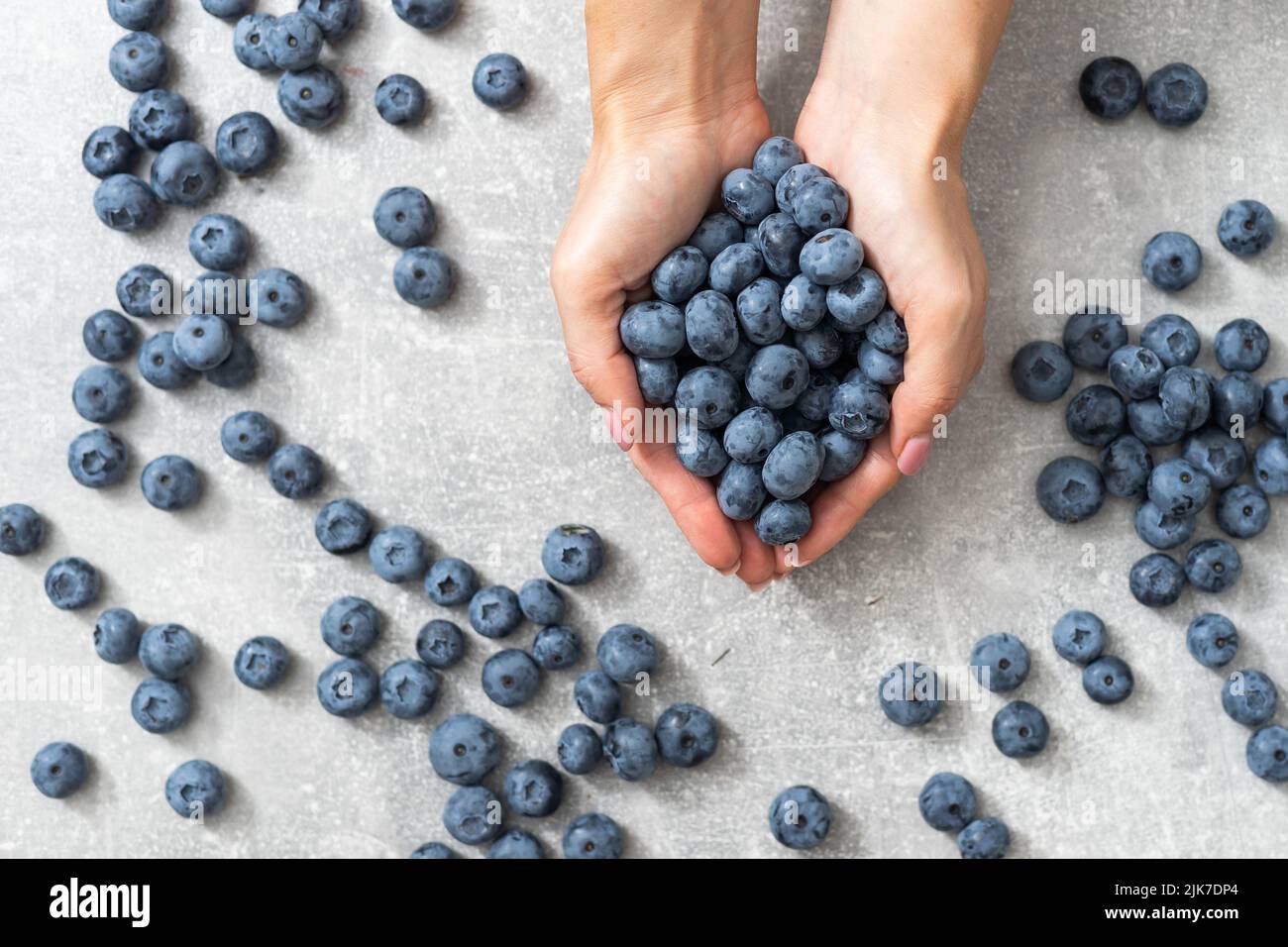 large blueberry in female hands Stock Photo - Alamy