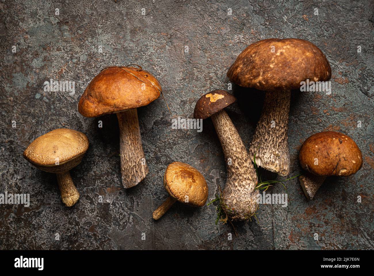 Boletus mushrooms over dark stone background. Top view autumn ...