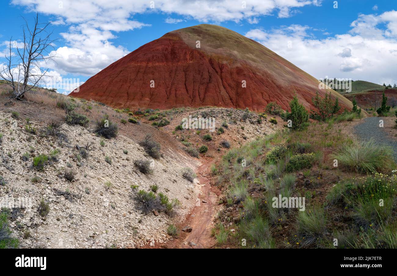 Red scar knoll trail hi-res stock photography and images - Alamy
