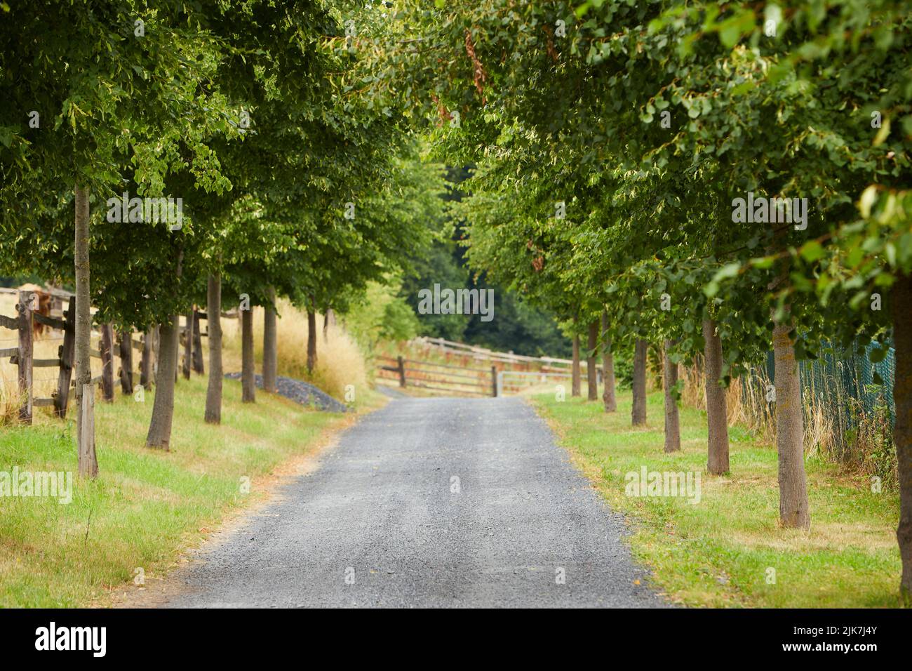 Gravel alley hi-res stock photography and images - Alamy