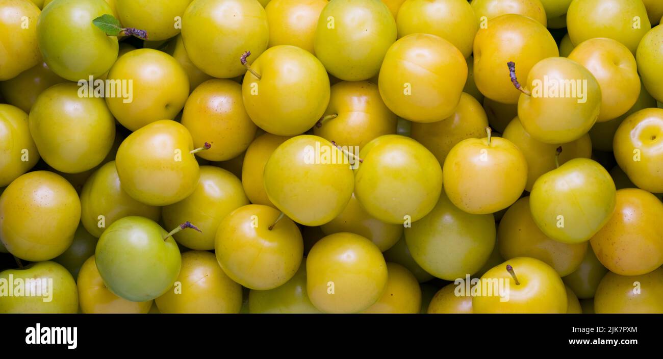 Bunch of ripe yellow plums. yellow plum background Stock Photo - Alamy