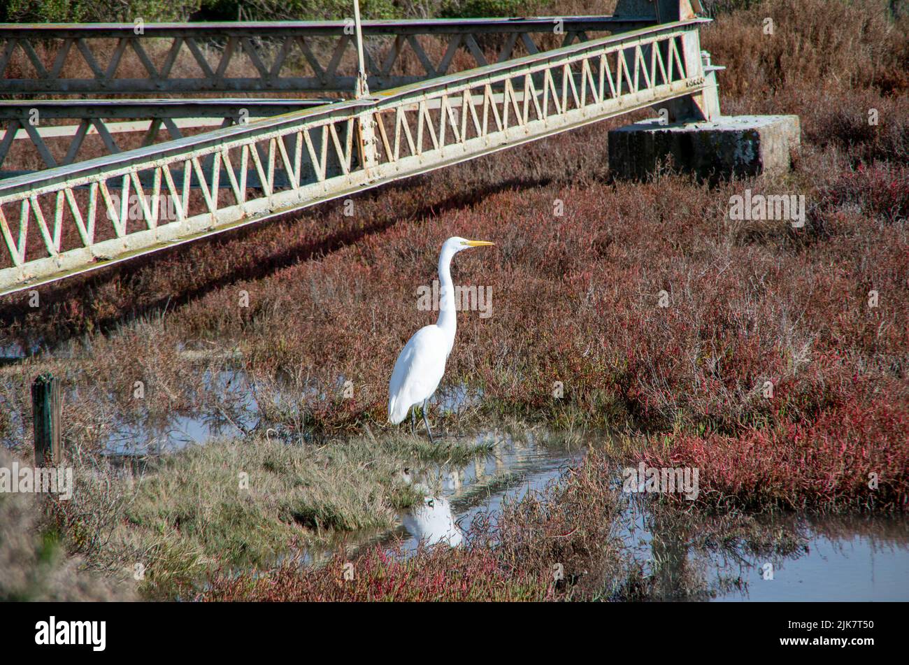 The North Bay of California's Bay Area offers plenty of beautiful views ...