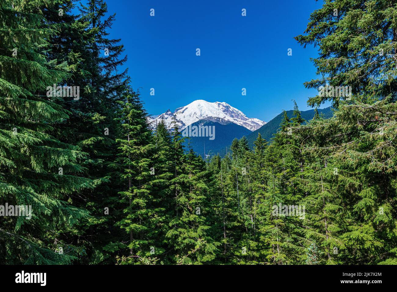Mt ranier national park hi-res stock photography and images - Alamy