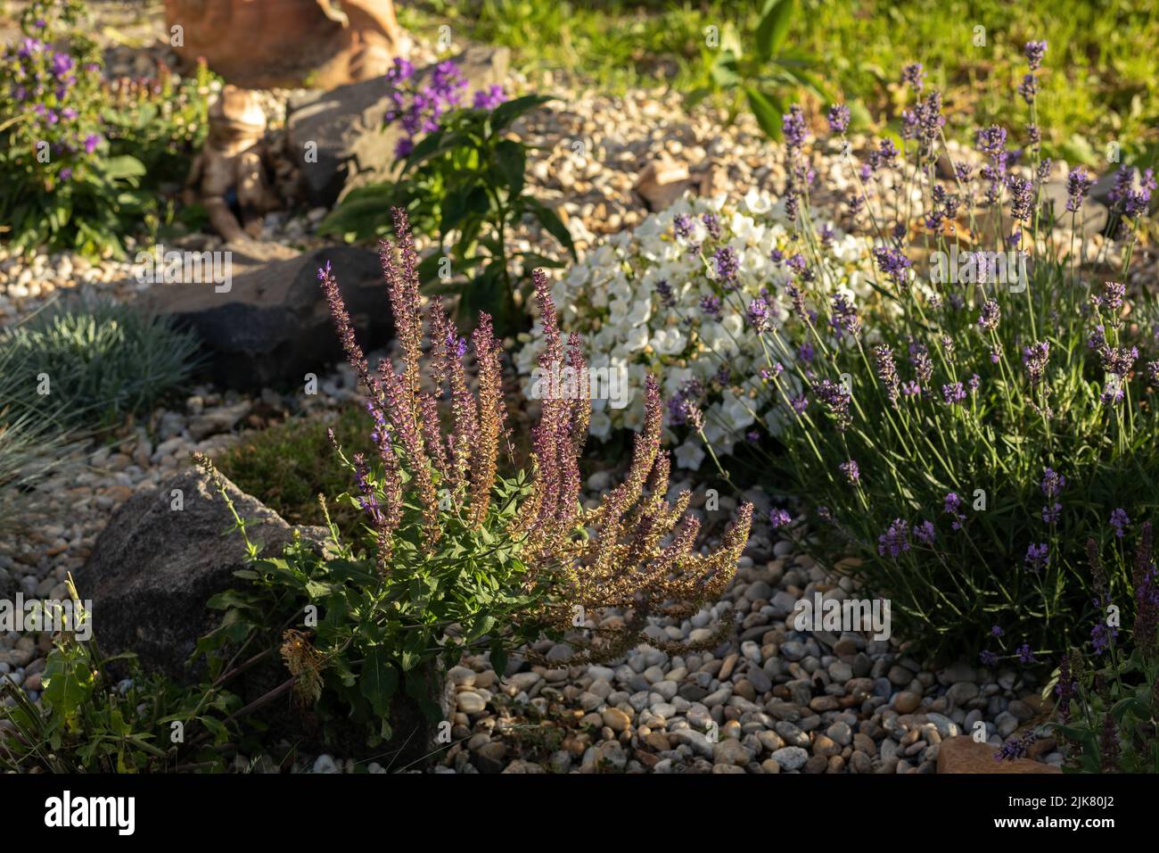 Decorated colorful flowerbed with stones as a decorative elements ...