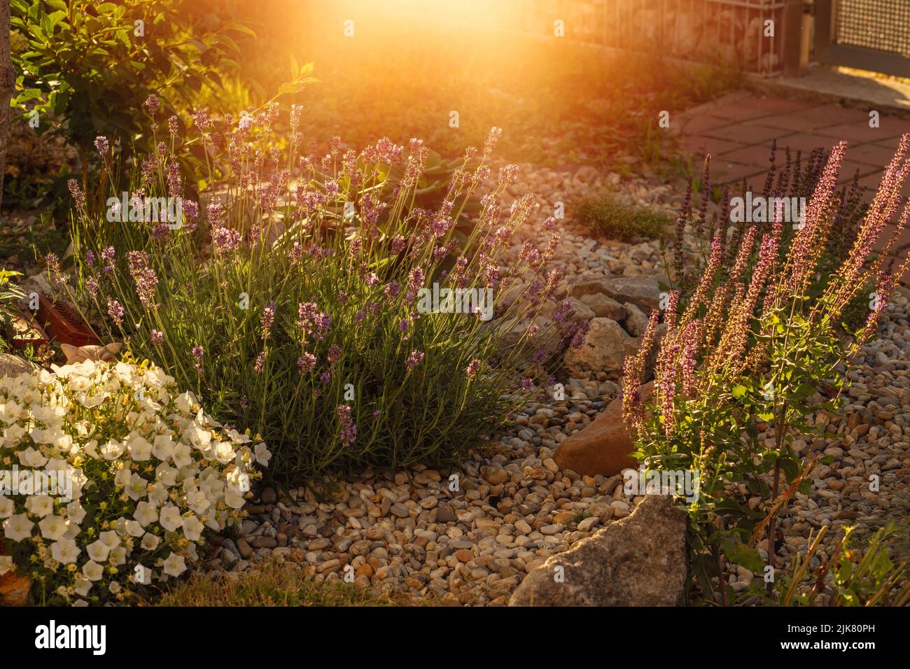 Decorated colorful flowerbed with stones as a decorative elements ...