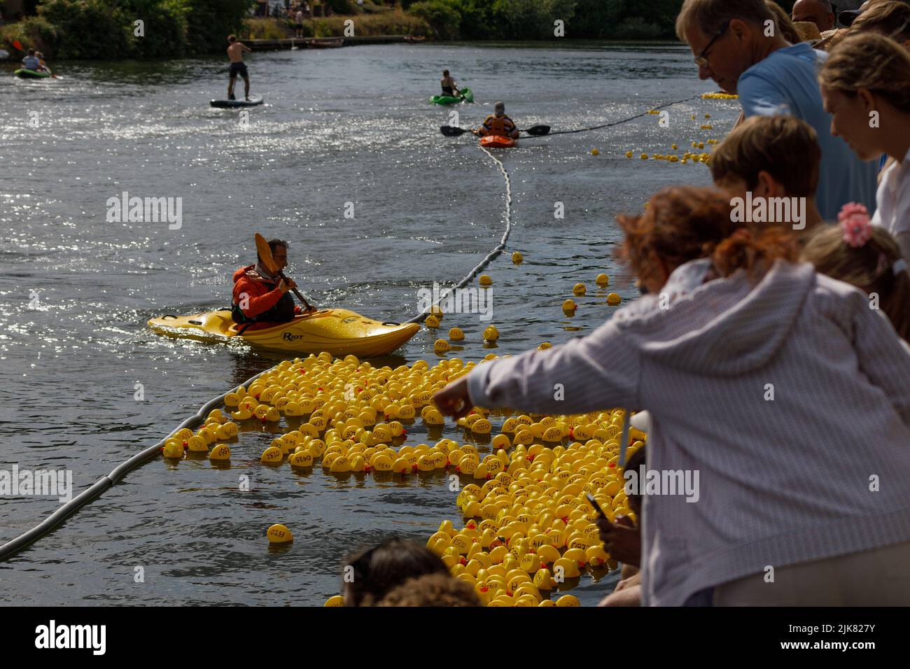 Rubber duck race hi-res stock photography and images - Alamy