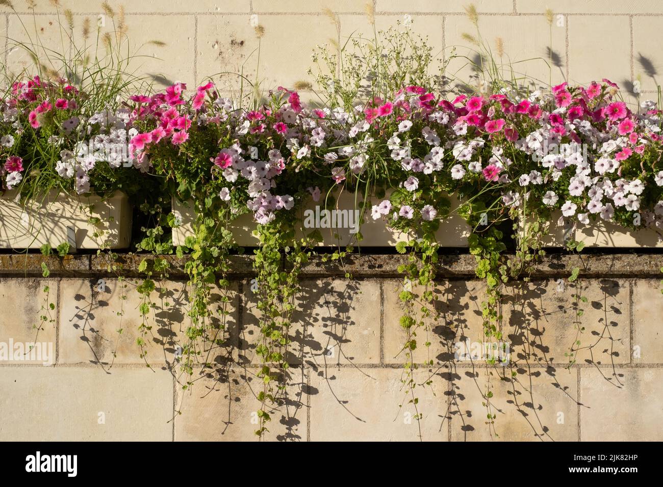 Colourful flower boxes hanging on a stone wall, photographed in the ...