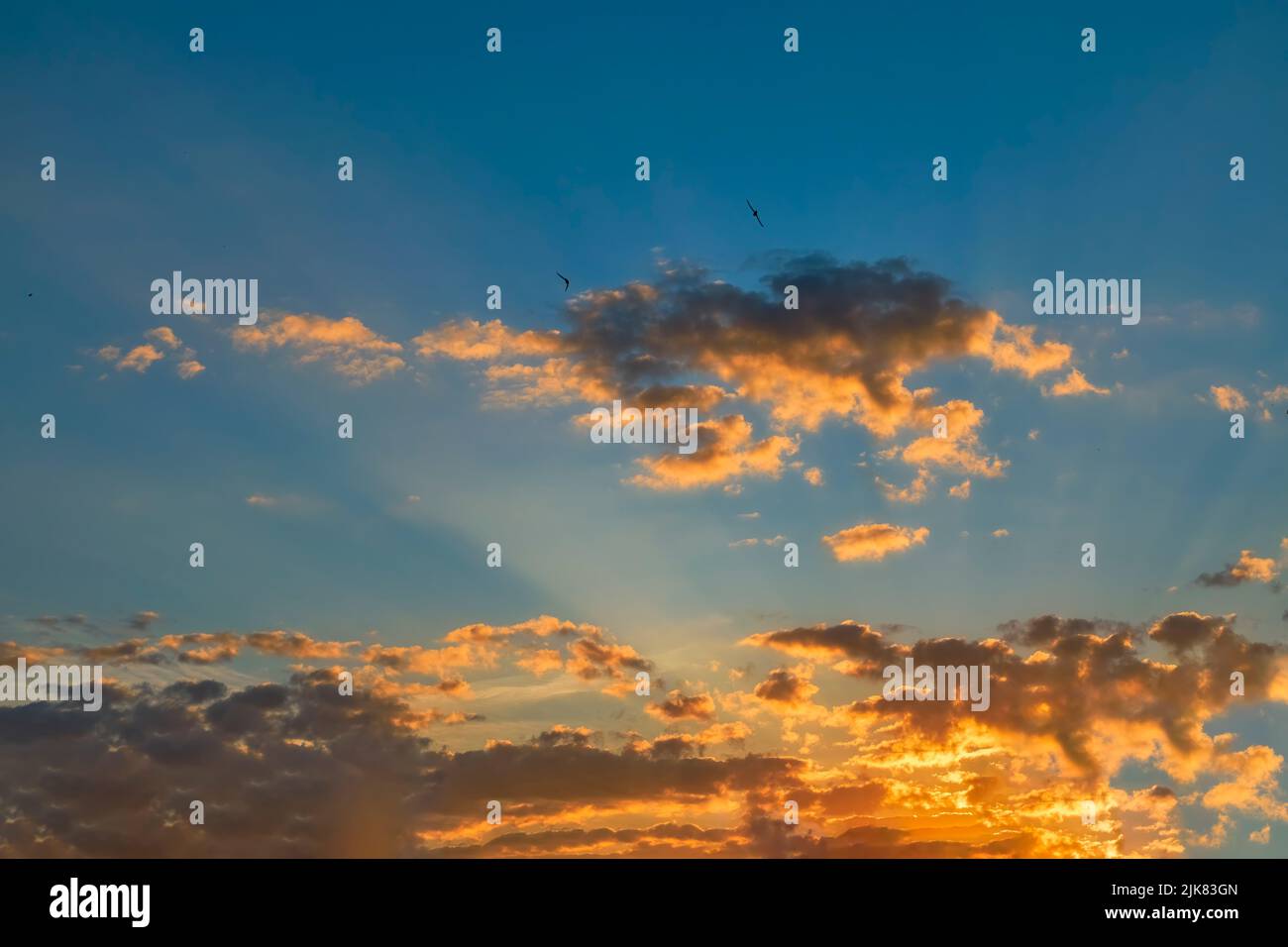 Evening sky in the picturesque clouds, lit by the rays of the setting sun Stock Photo - Alamy