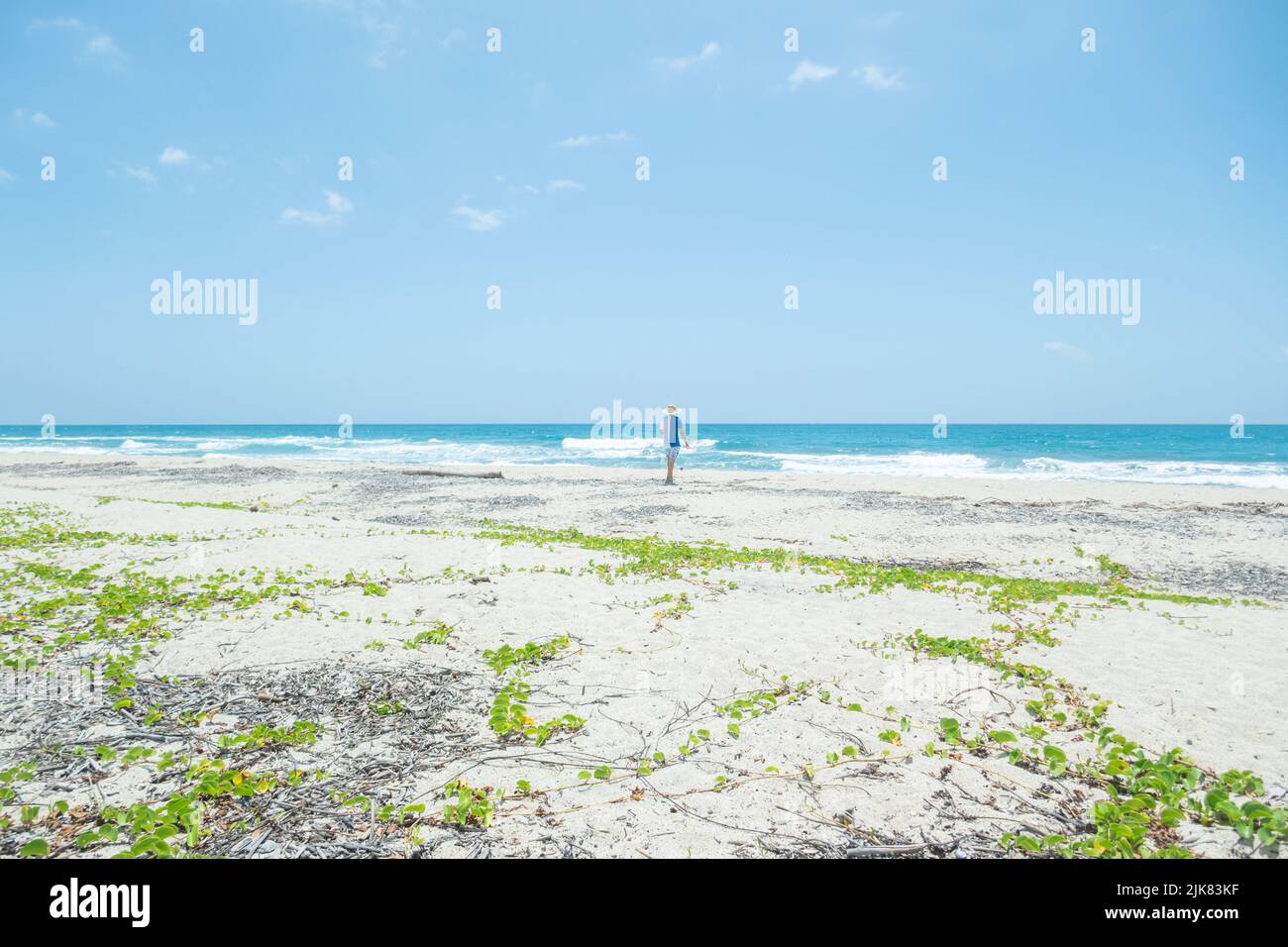 Beautiful beach area in Tayrona national park, Colombia Stock Photo - Alamy