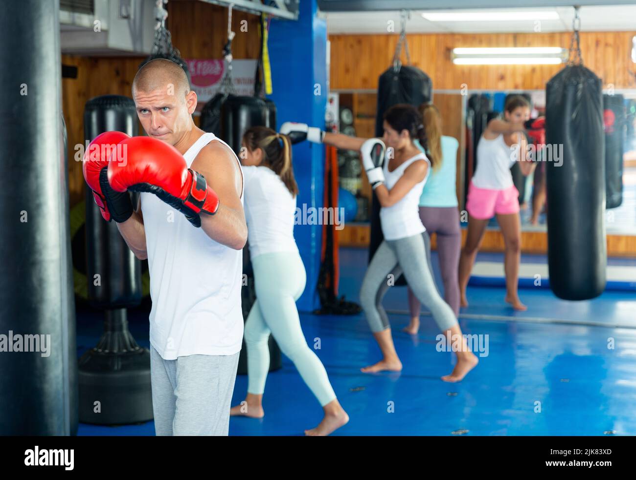 Women german boxer hi-res stock photography and images - Alamy